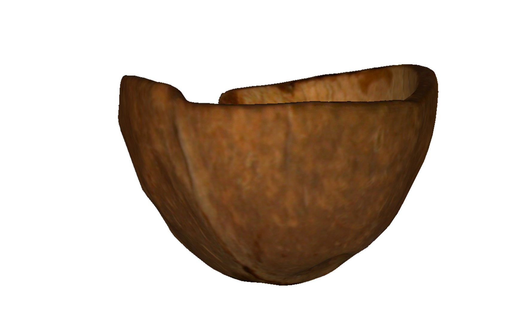 Coconut Shell 3D - TurboSquid 1627748