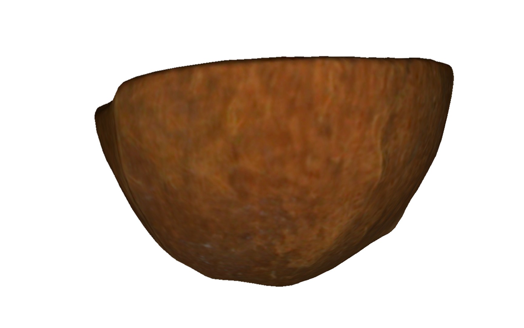 Coconut Shell 3D - TurboSquid 1627748