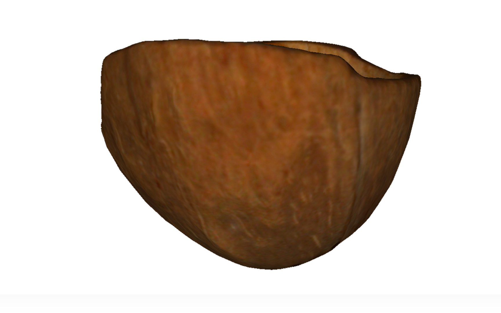 Coconut Shell 3D - TurboSquid 1627748