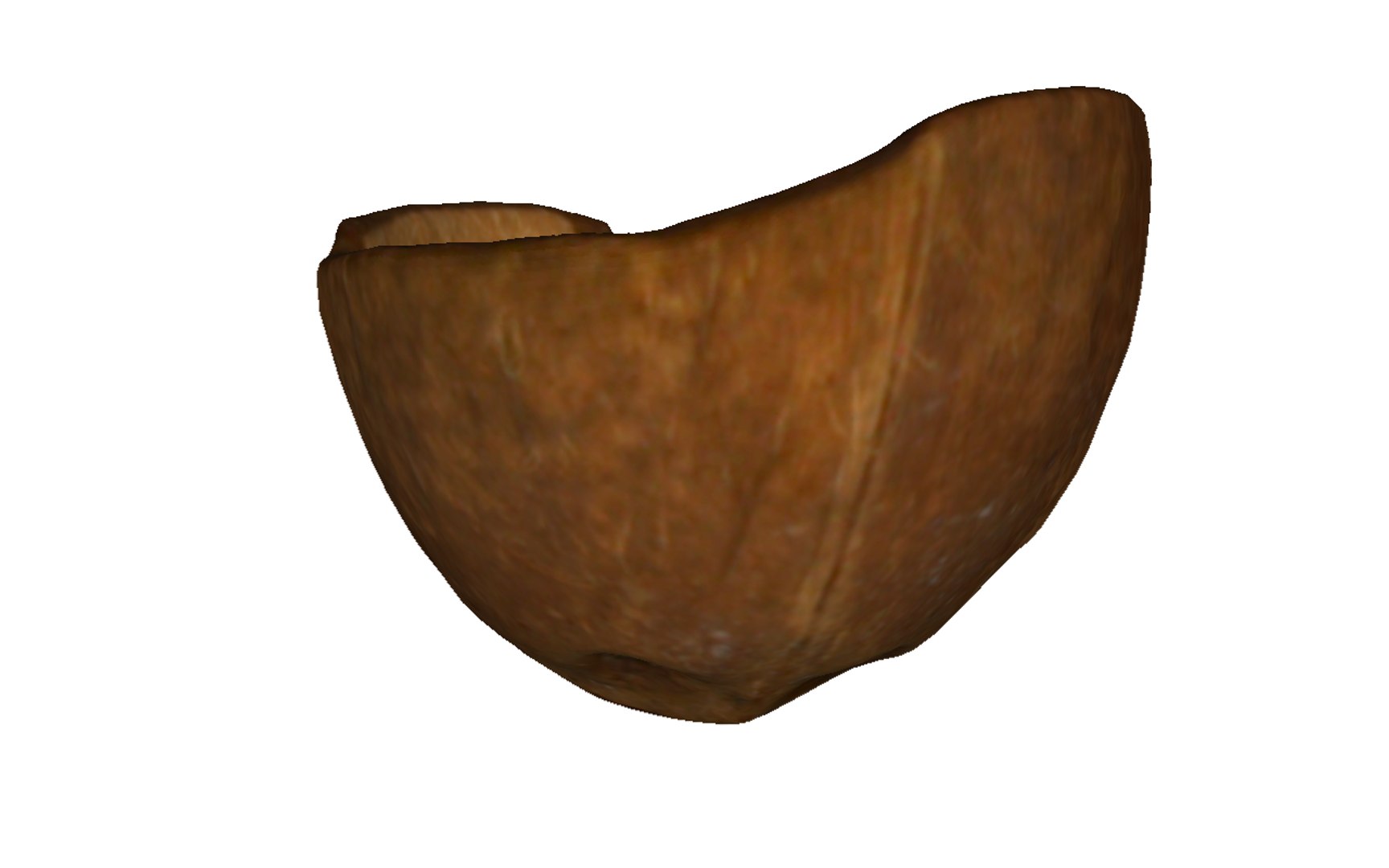 Coconut Shell 3D - TurboSquid 1627748