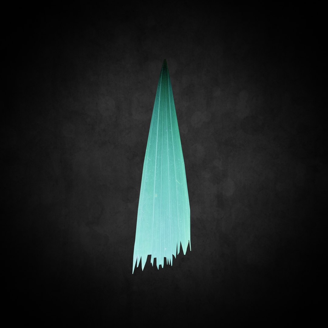 Low Poly Leaf 061 3D - TurboSquid 1852440