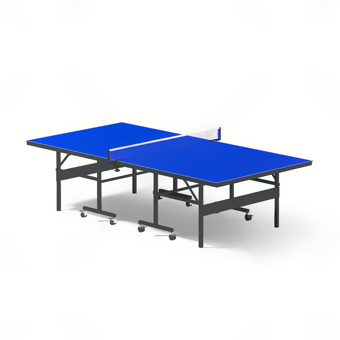 3D Table tennis table tennis racket table tennis table tennis hall ...