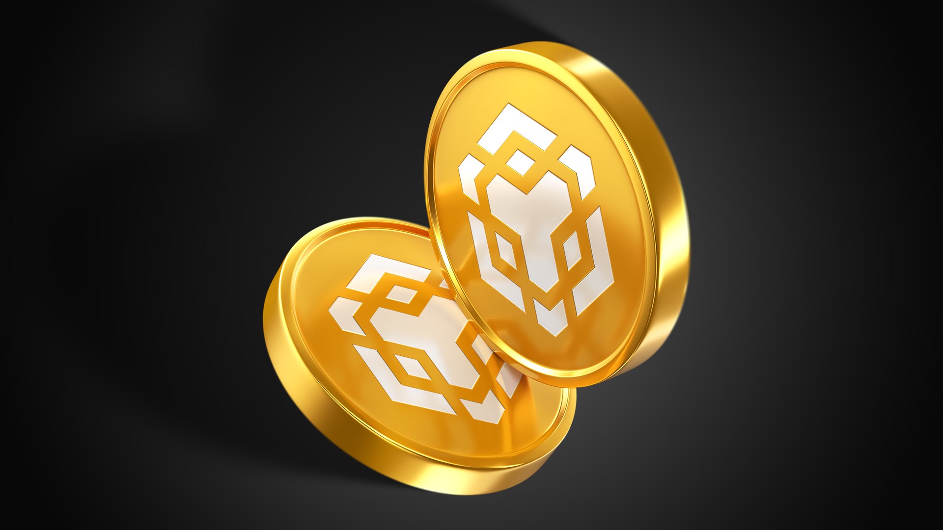 BNB Coin 3D Model - TurboSquid 2048856