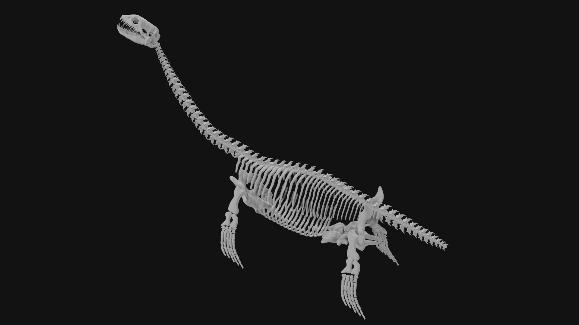 Plesiosaur Skeleton Model - TurboSquid 1972521