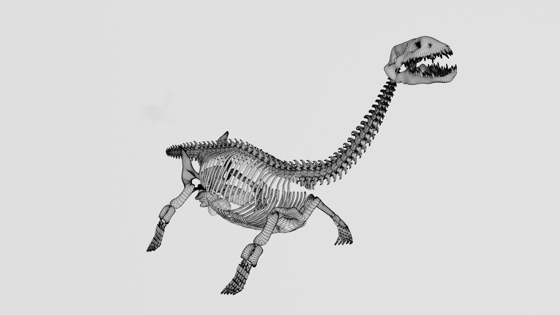 Plesiosaur Skeleton Model - TurboSquid 1972521