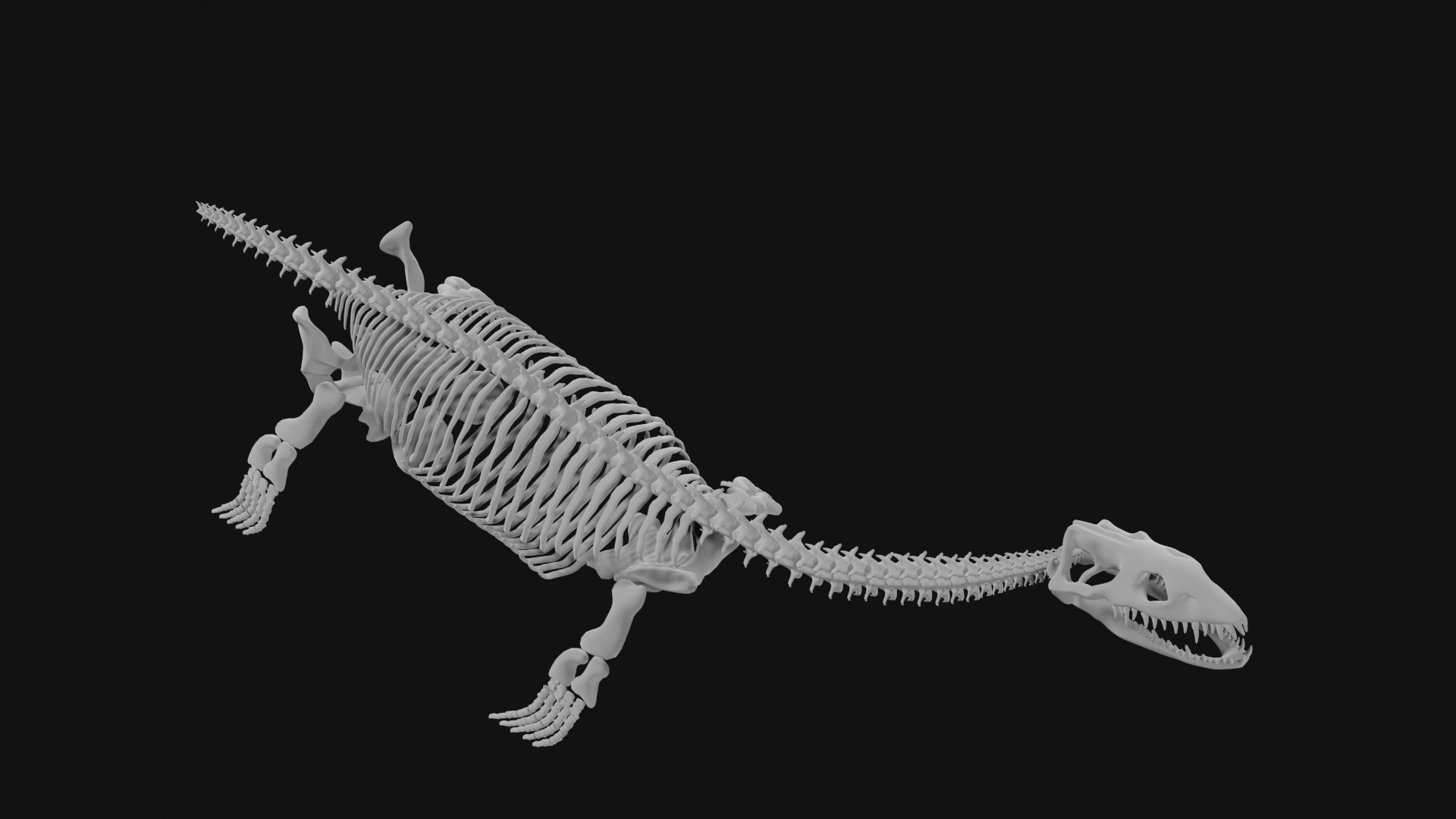 Plesiosaur Skeleton Model - TurboSquid 1972521