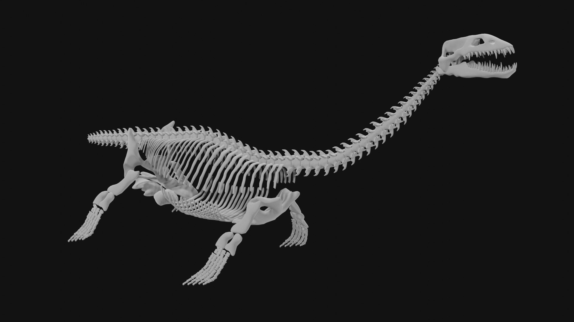 Plesiosaur Skeleton Model - TurboSquid 1972521