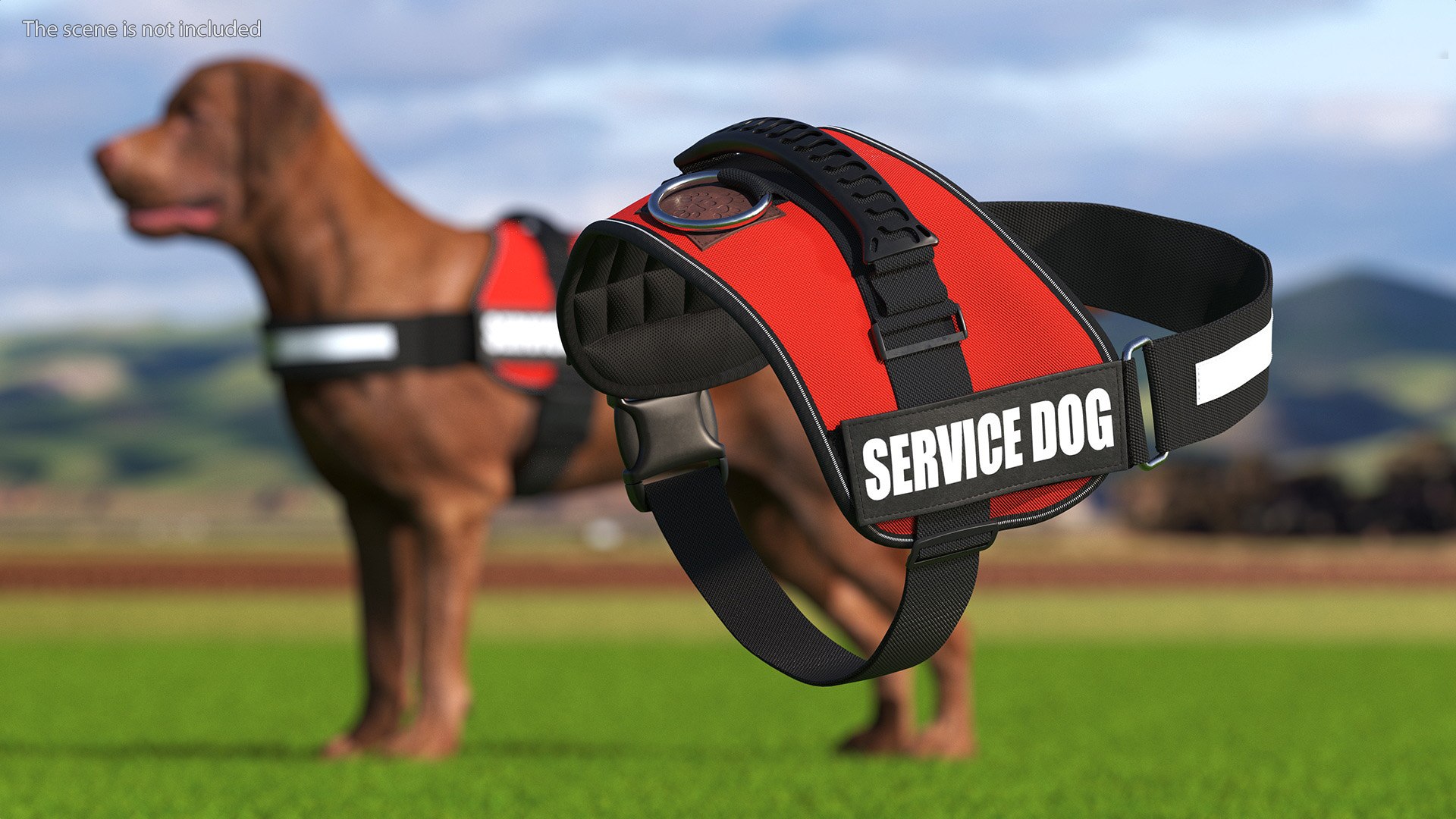 3D Service Dog Vest Fur - TurboSquid 2200244