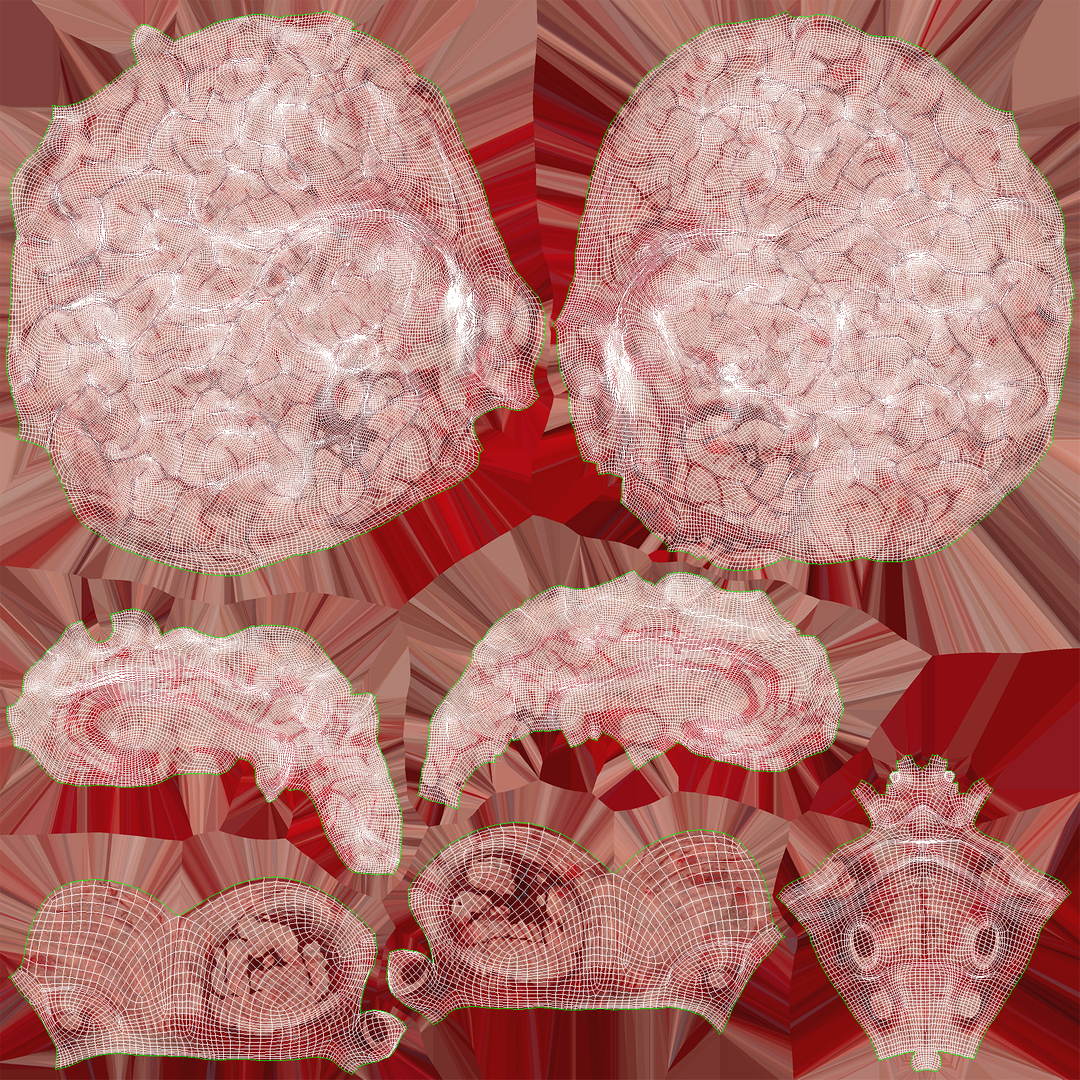 3D model human brain - TurboSquid 1339425