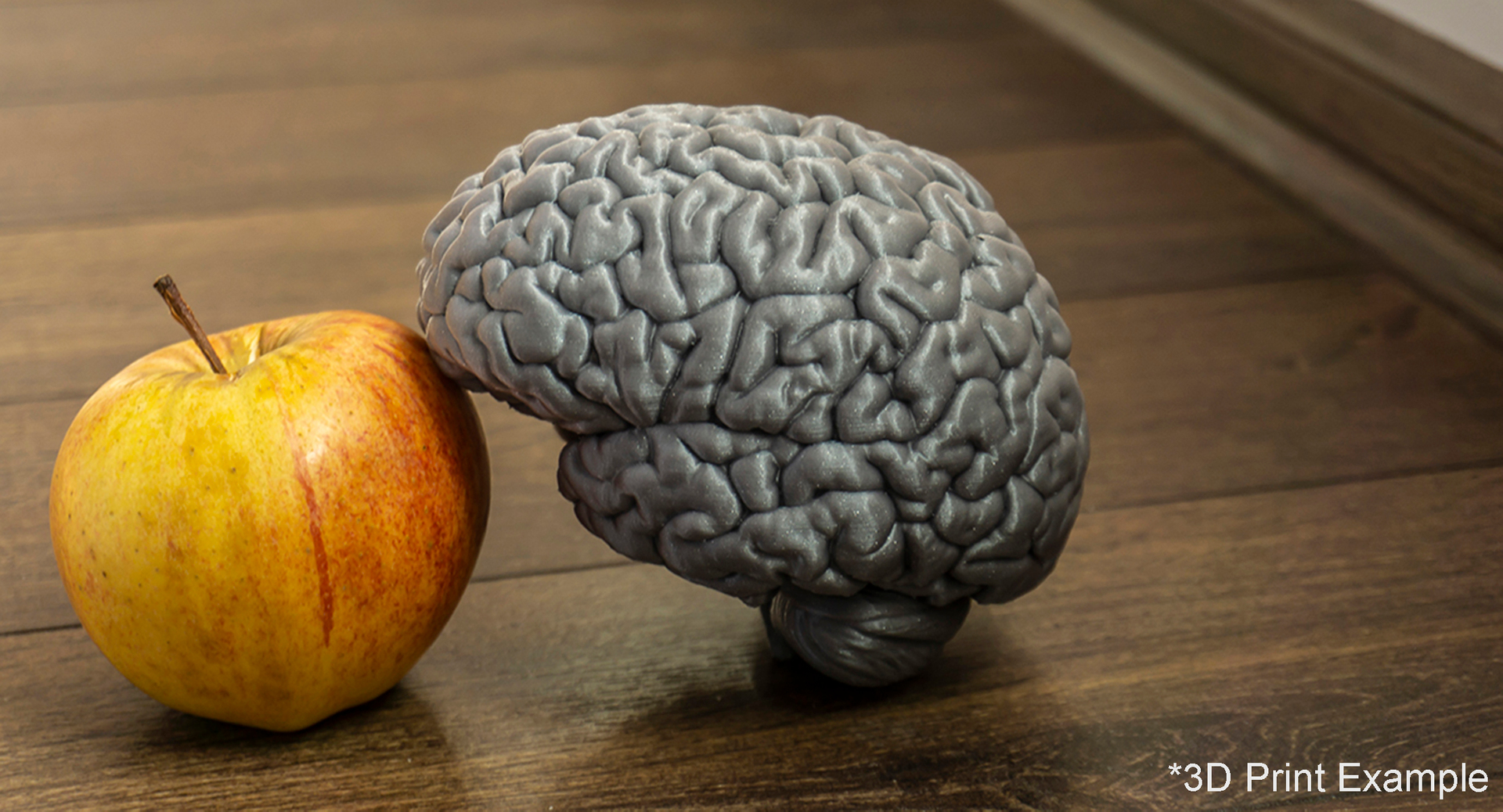 3D model human brain - TurboSquid 1339425