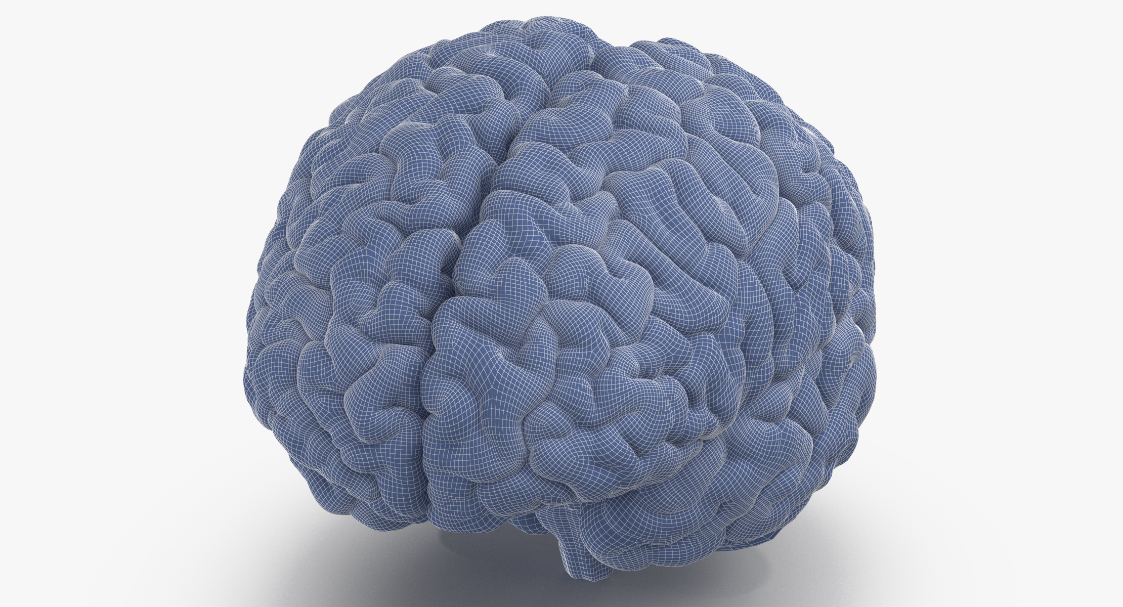 3D model human brain - TurboSquid 1339425