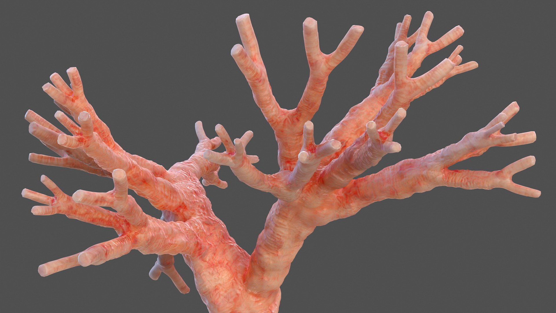 3D human bronchi - TurboSquid 1465869