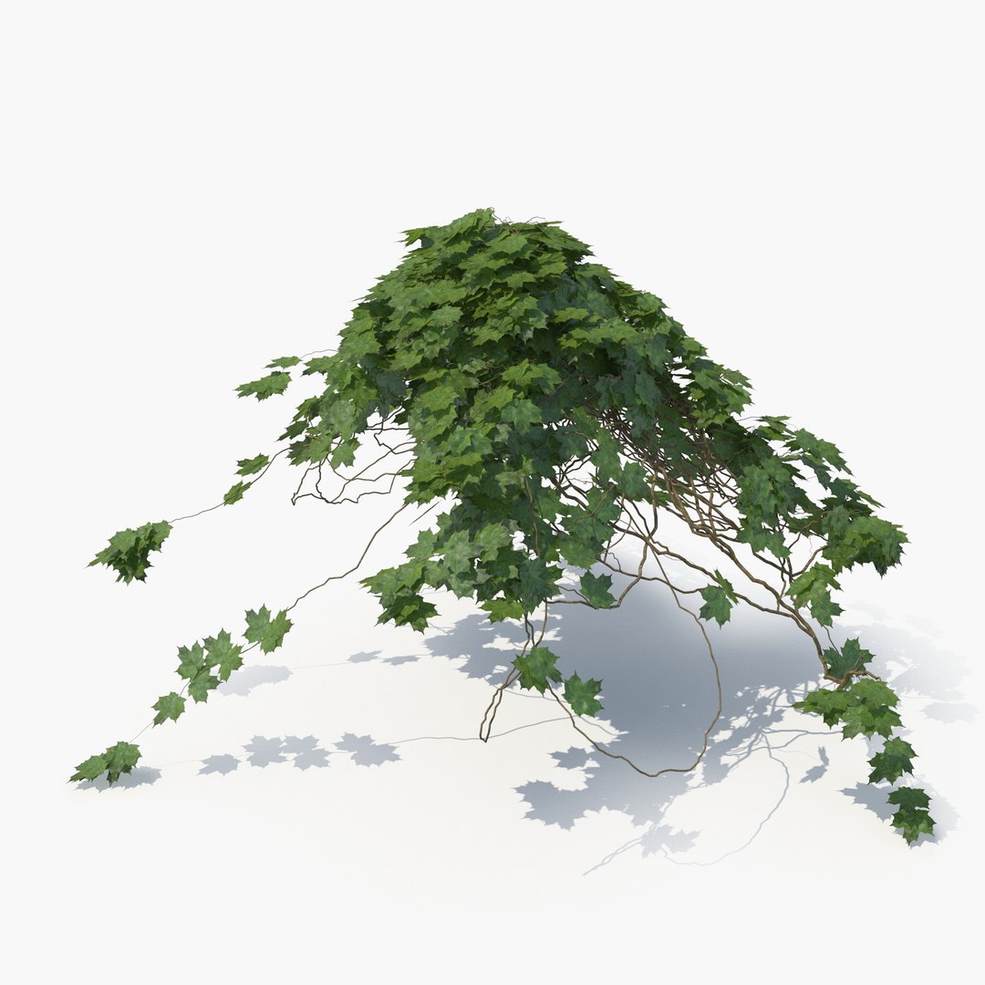 Realistic Ivy Hut 3D Model - TurboSquid 1151684