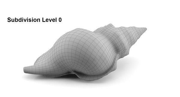 seashell animations 3d 3ds