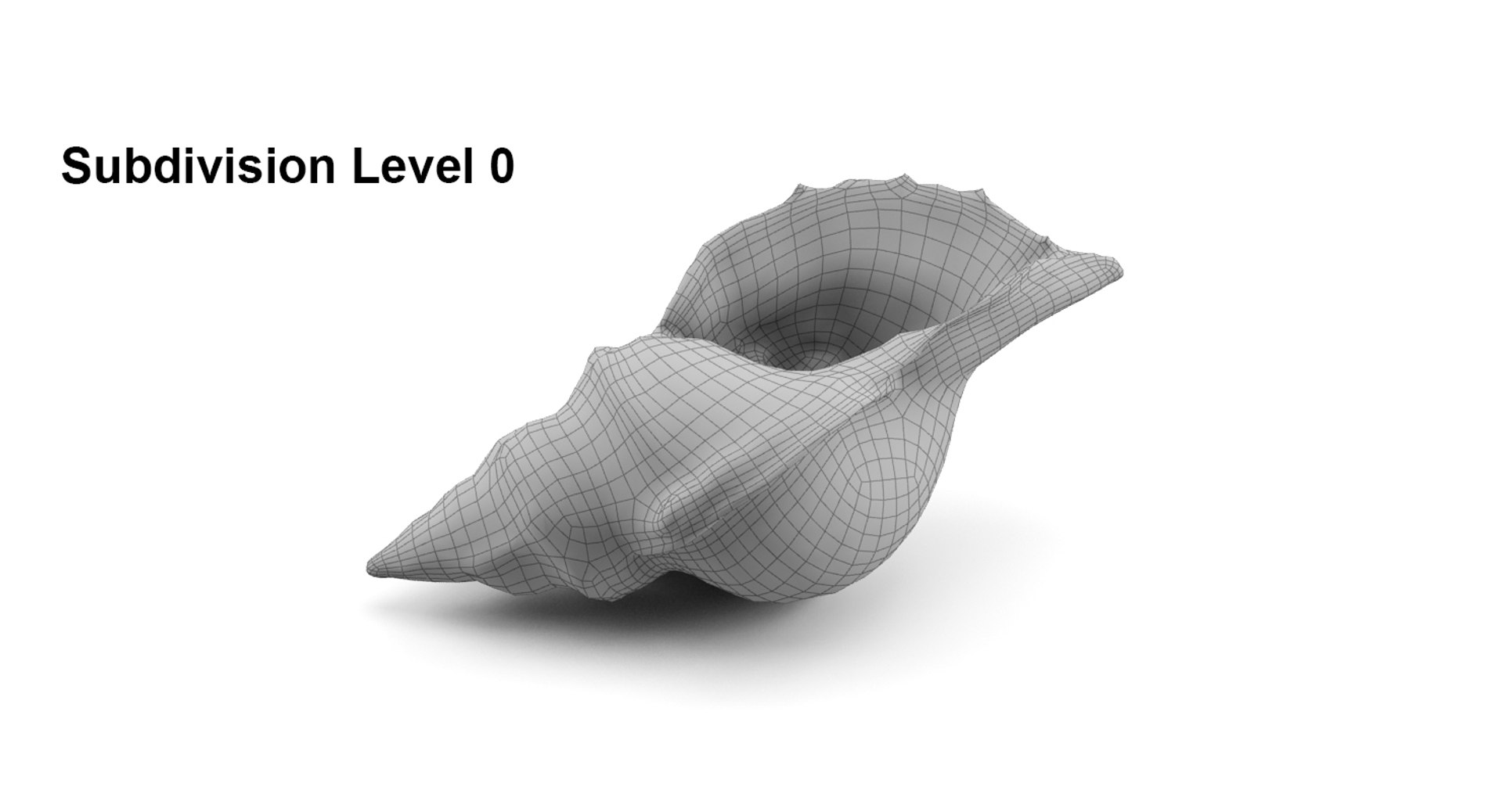 Seashell Animations 3d 3ds