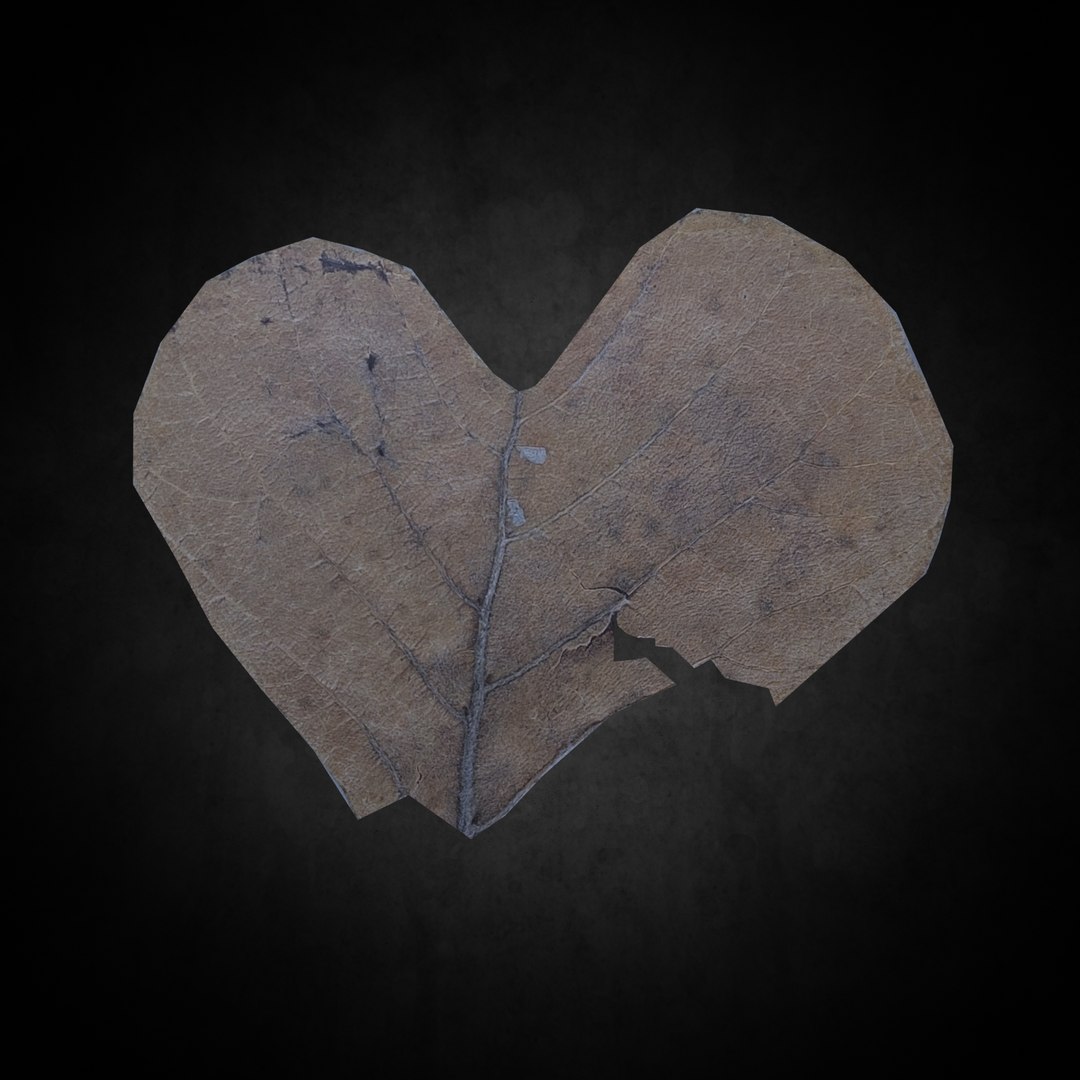 3D Low Poly Leaf 021 Model - TurboSquid 1852138