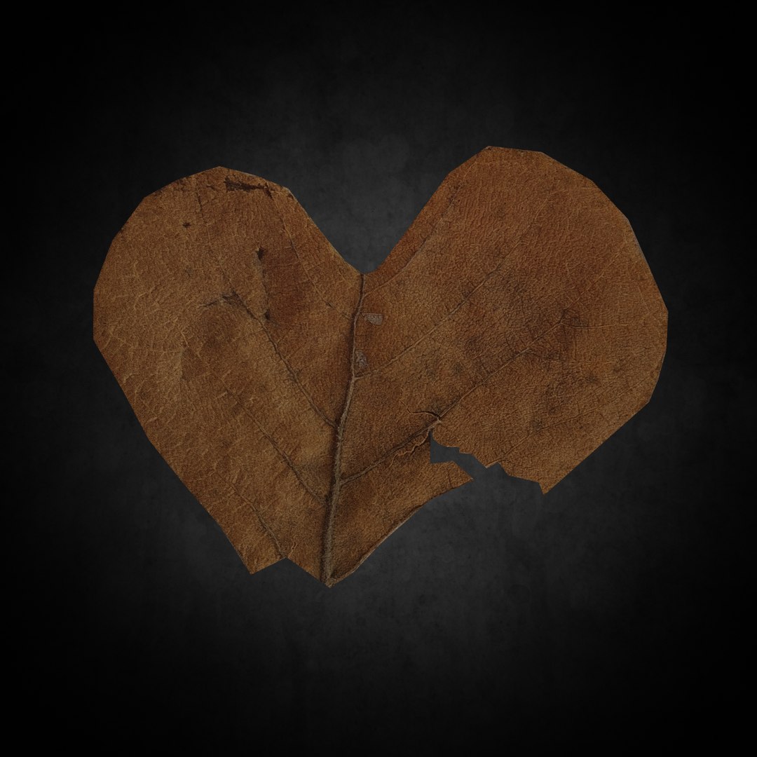 3D Low Poly Leaf 021 Model - TurboSquid 1852138