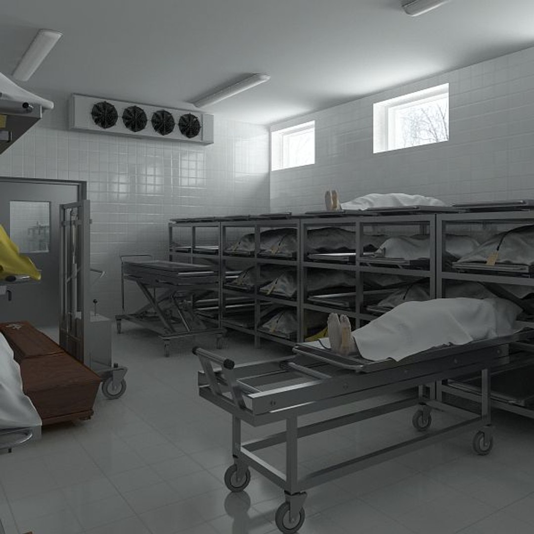 3d Model Morgue Equipment Device