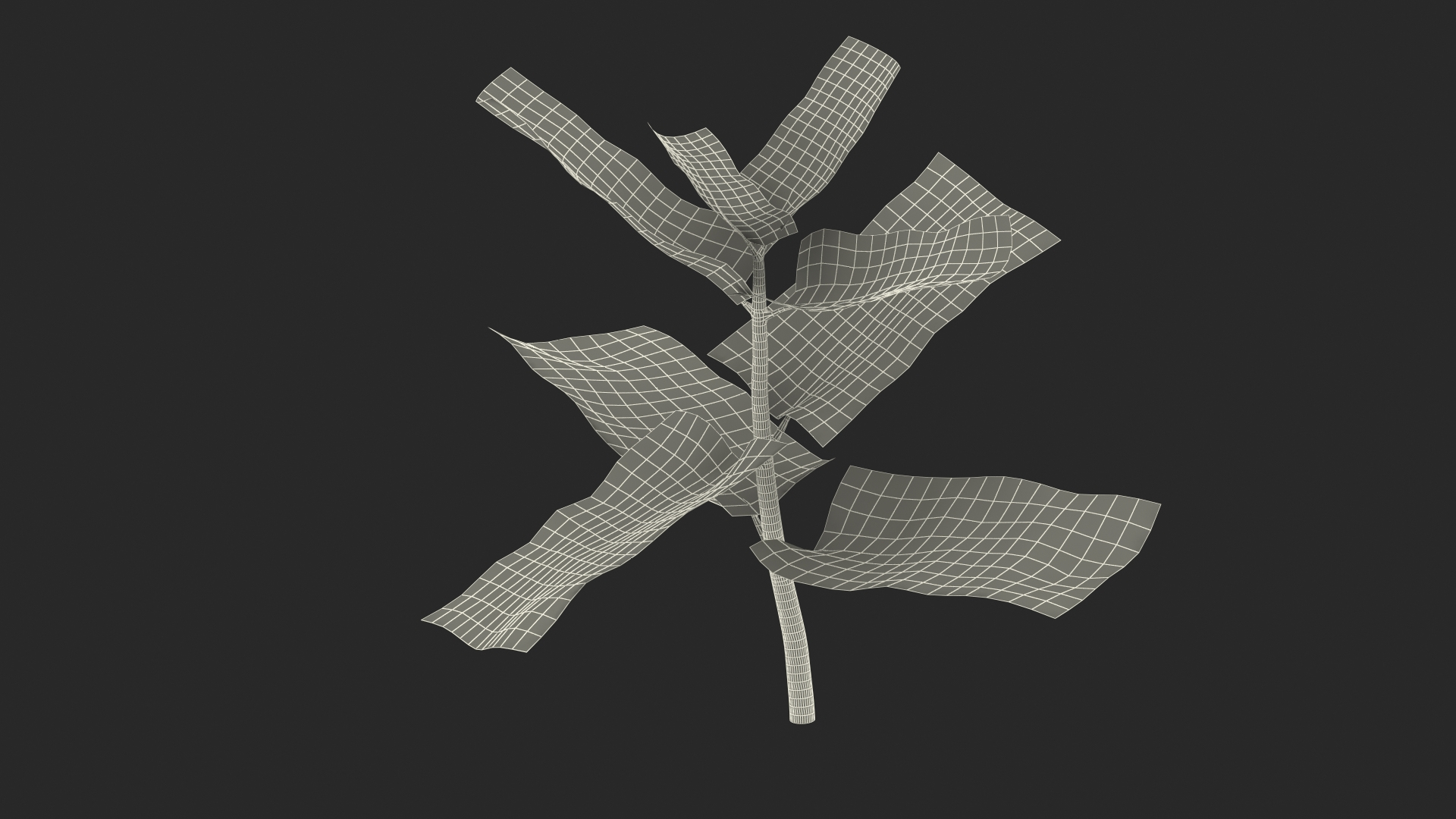 Plant Sprout 3D Model - TurboSquid 2310091