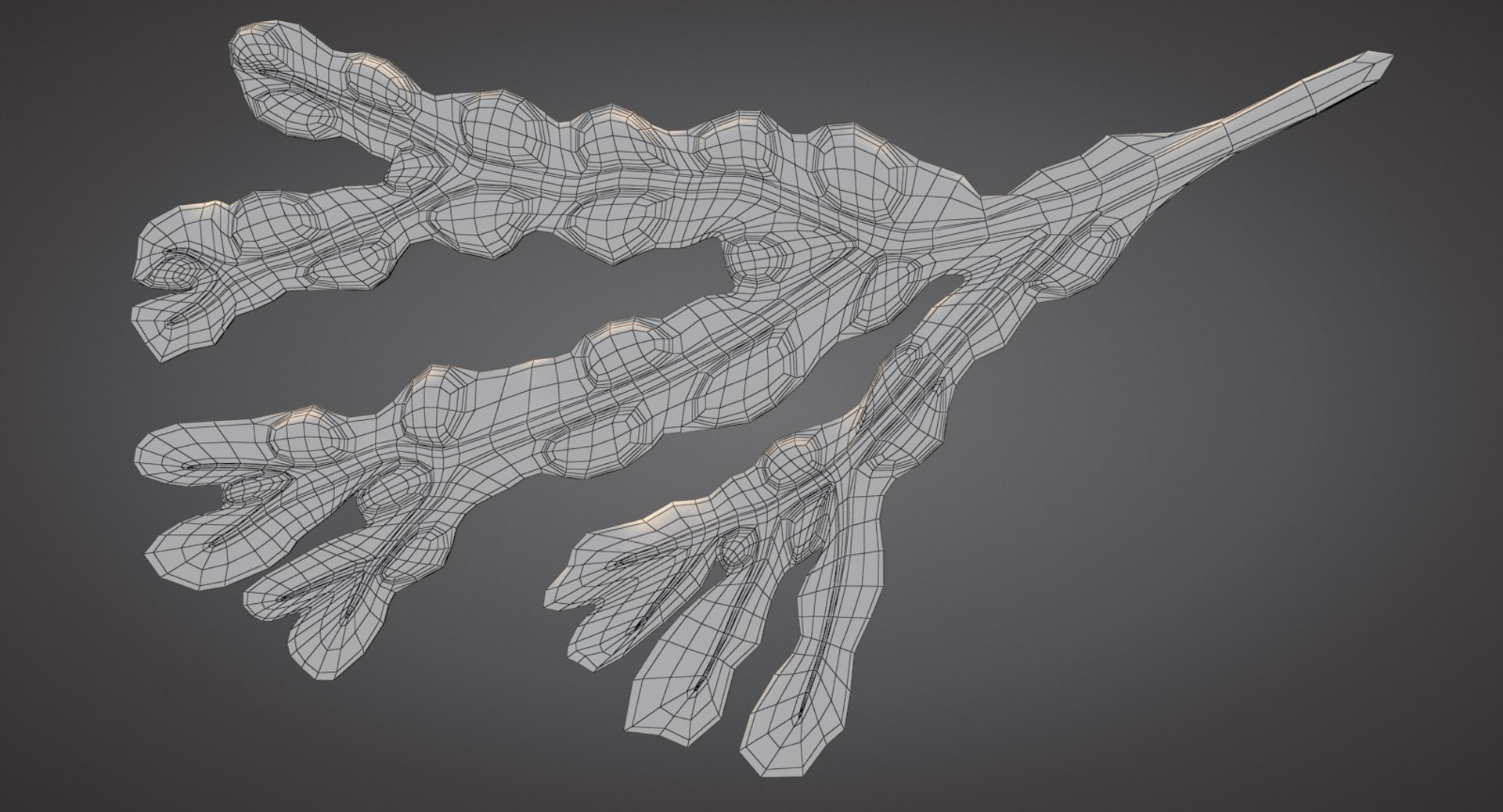 3d Model Seaweeds Animation