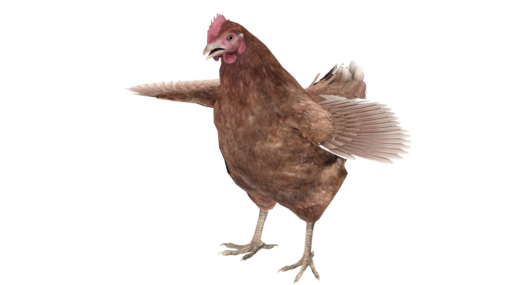 3D Chicken Rigged Model - TurboSquid 1911863