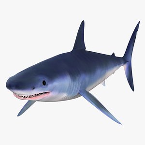 Download Free & Premium Mako Shark 3D Models | TurboSquid