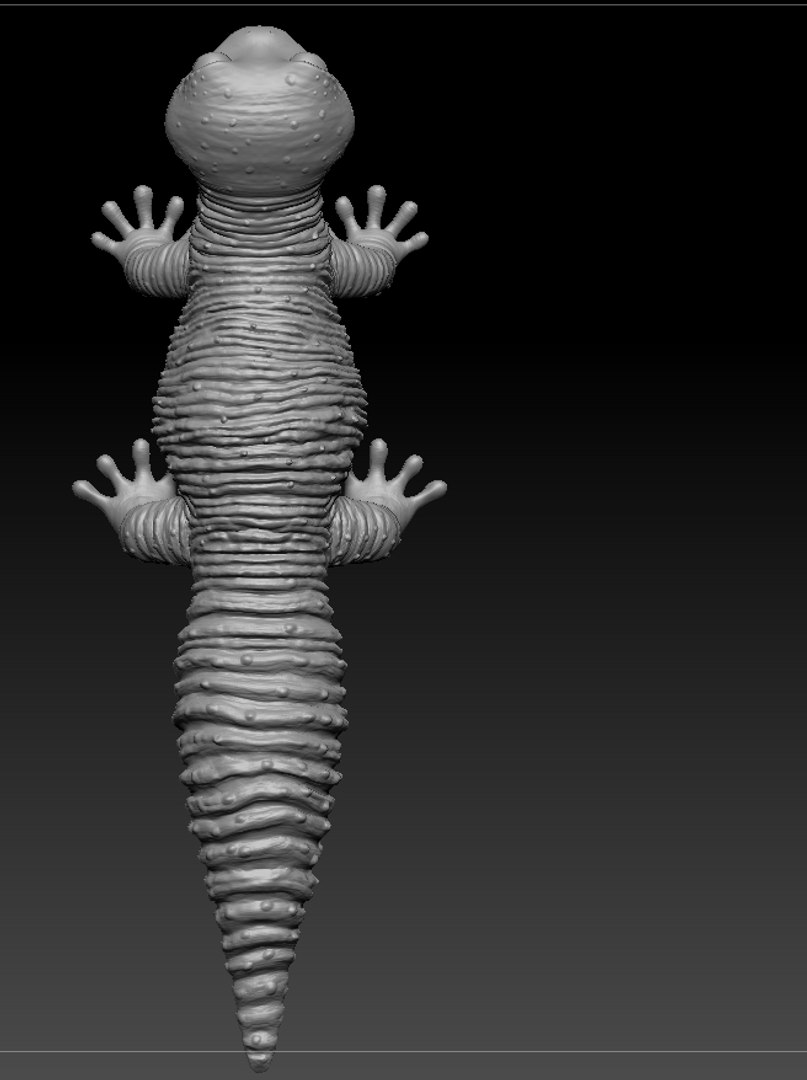 3D Stylized Gecko Mid PolyPBR 4K OBJ FBX USD Blend ABC 2 Skins Multiple ...