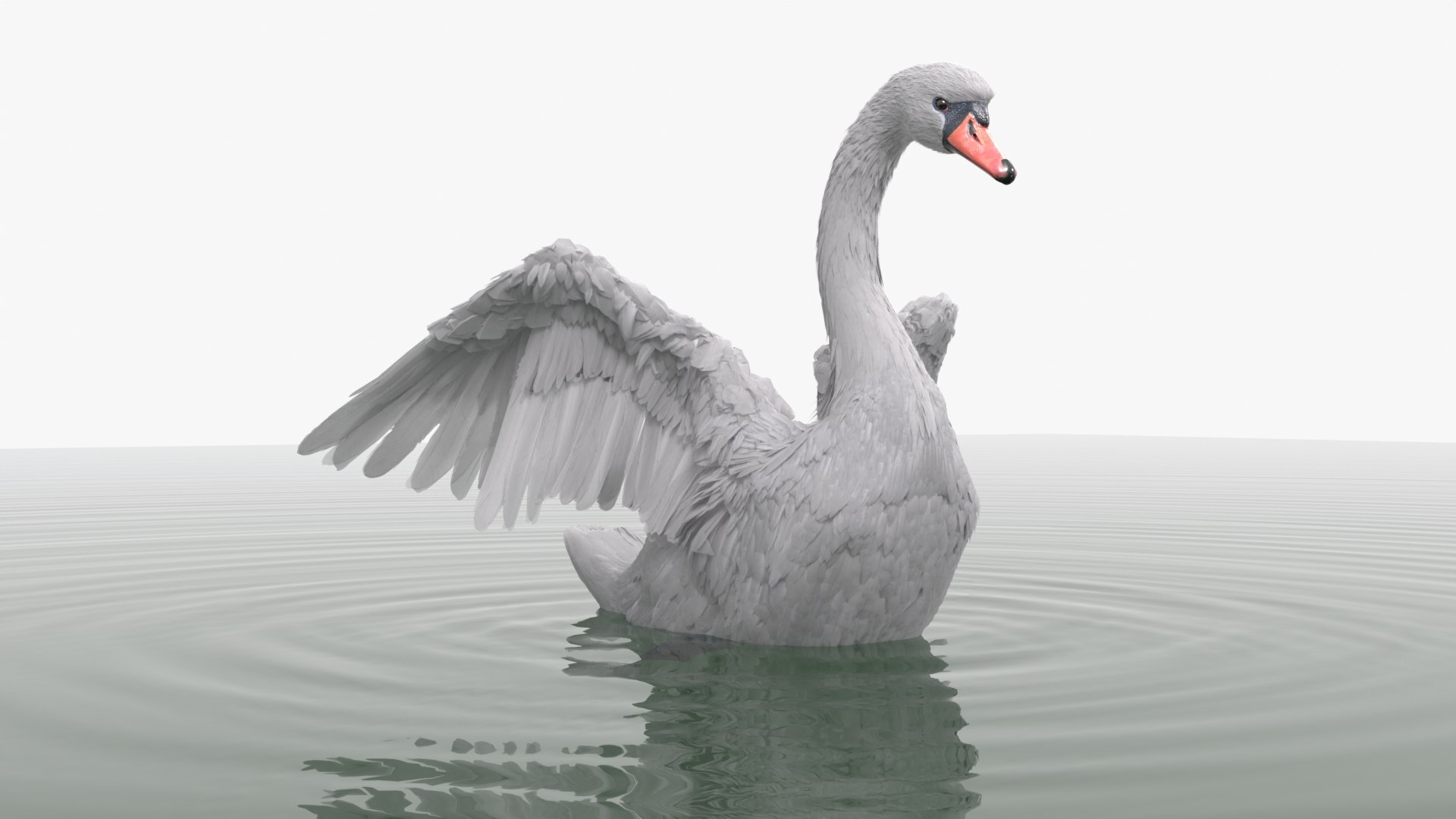 3D White Swan Swimming On Water Animated Rigged For Blender Model ...