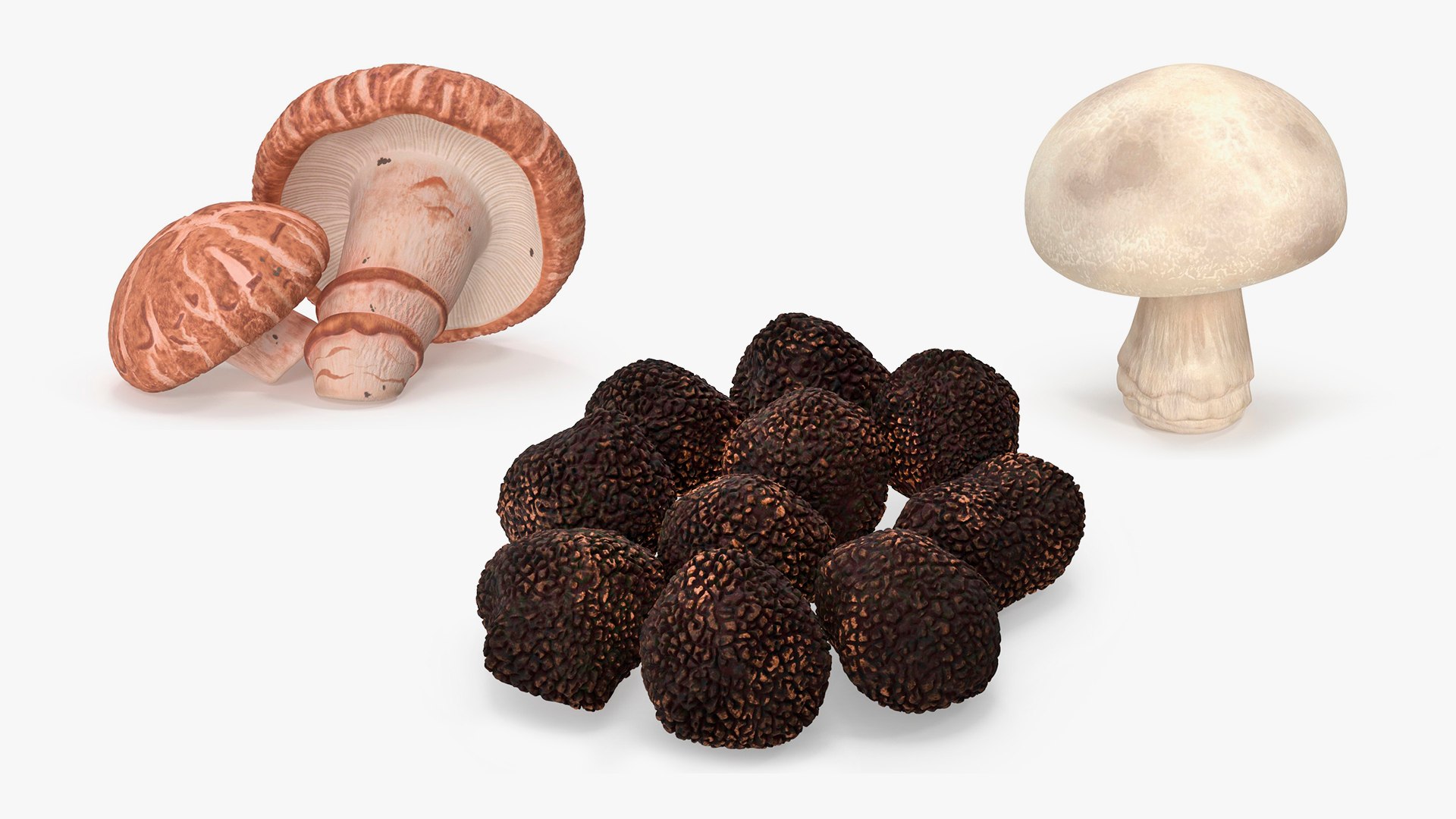 3D Edible Mushrooms Collection 2 Model - TurboSquid 2240029