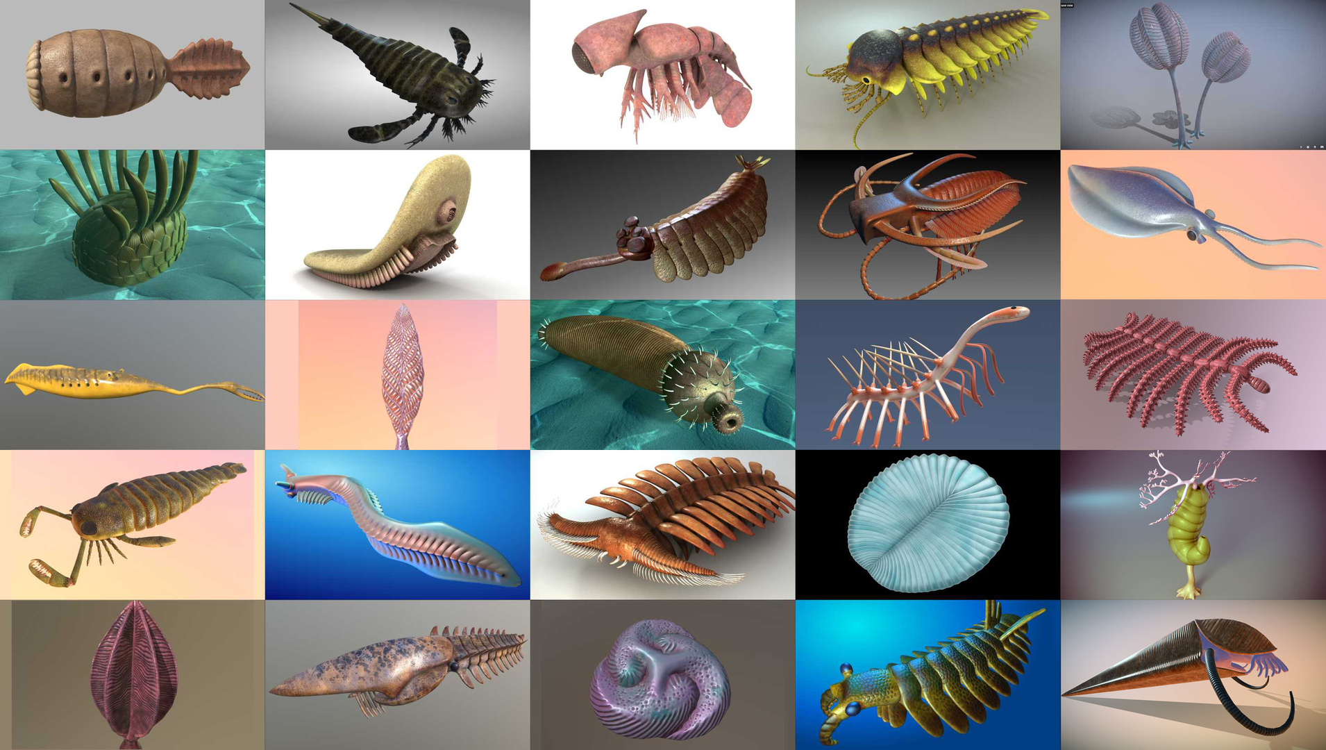3D aegirocassis anomalocaris charnia model - TurboSquid 1561546