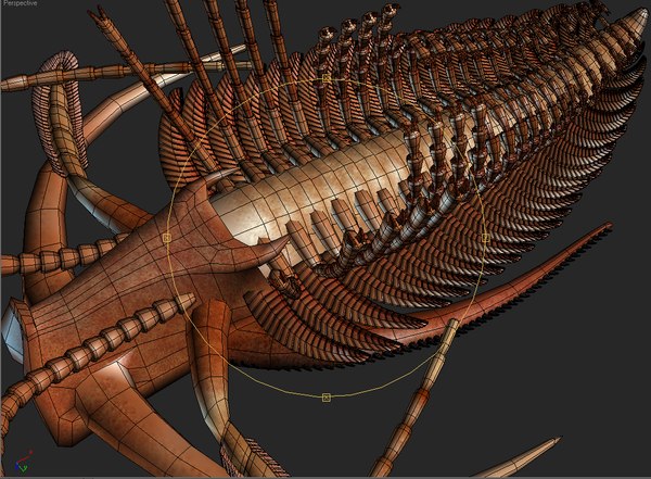 3D aegirocassis anomalocaris charnia model - TurboSquid 1561546