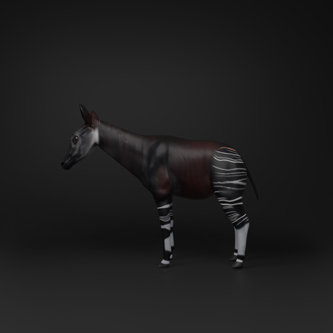 3D Okapi Wild Giraffe - TurboSquid 2189078