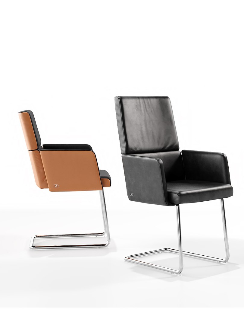 3D Model DS-414 Cantilever Armchairs - TurboSquid 2192455