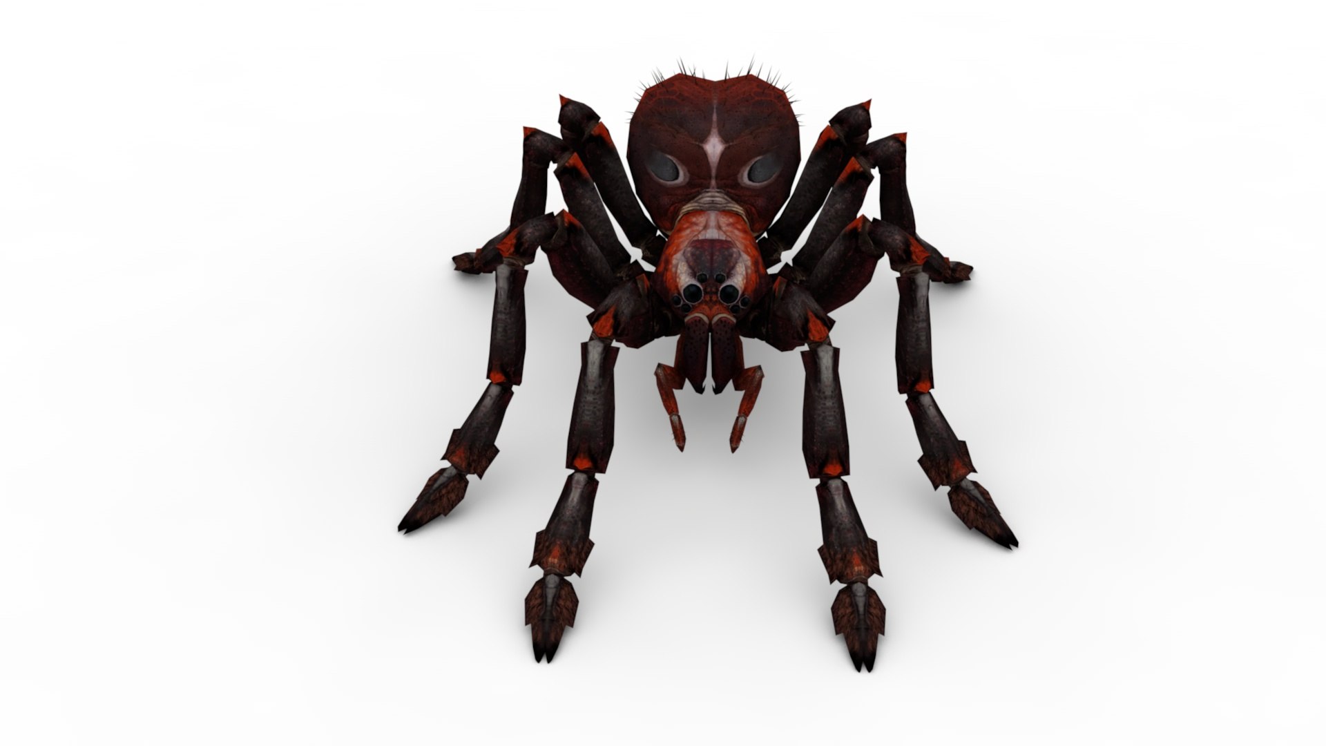 3D Spider Model - TurboSquid 2031429