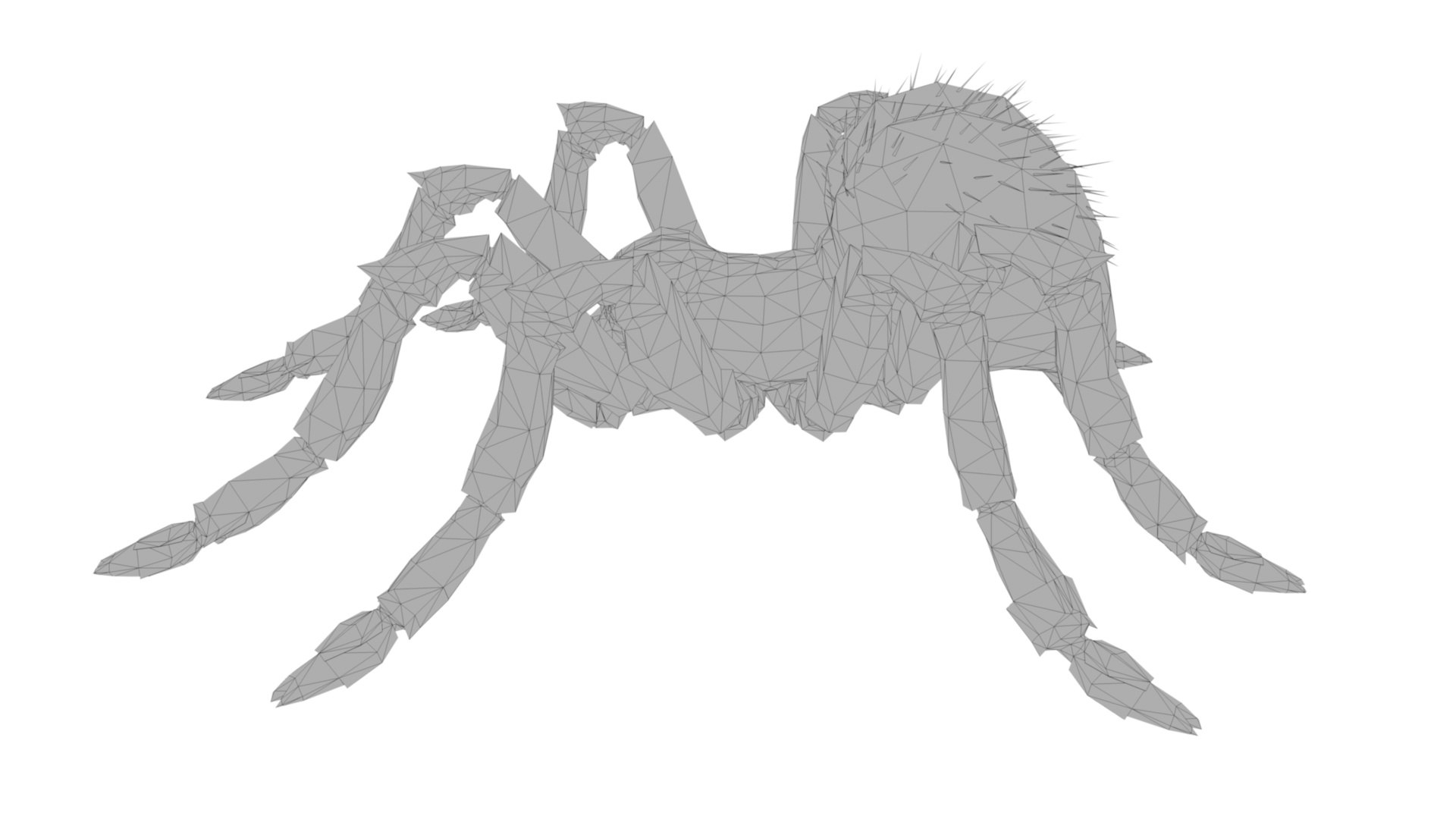 3D Spider Model - TurboSquid 2031429