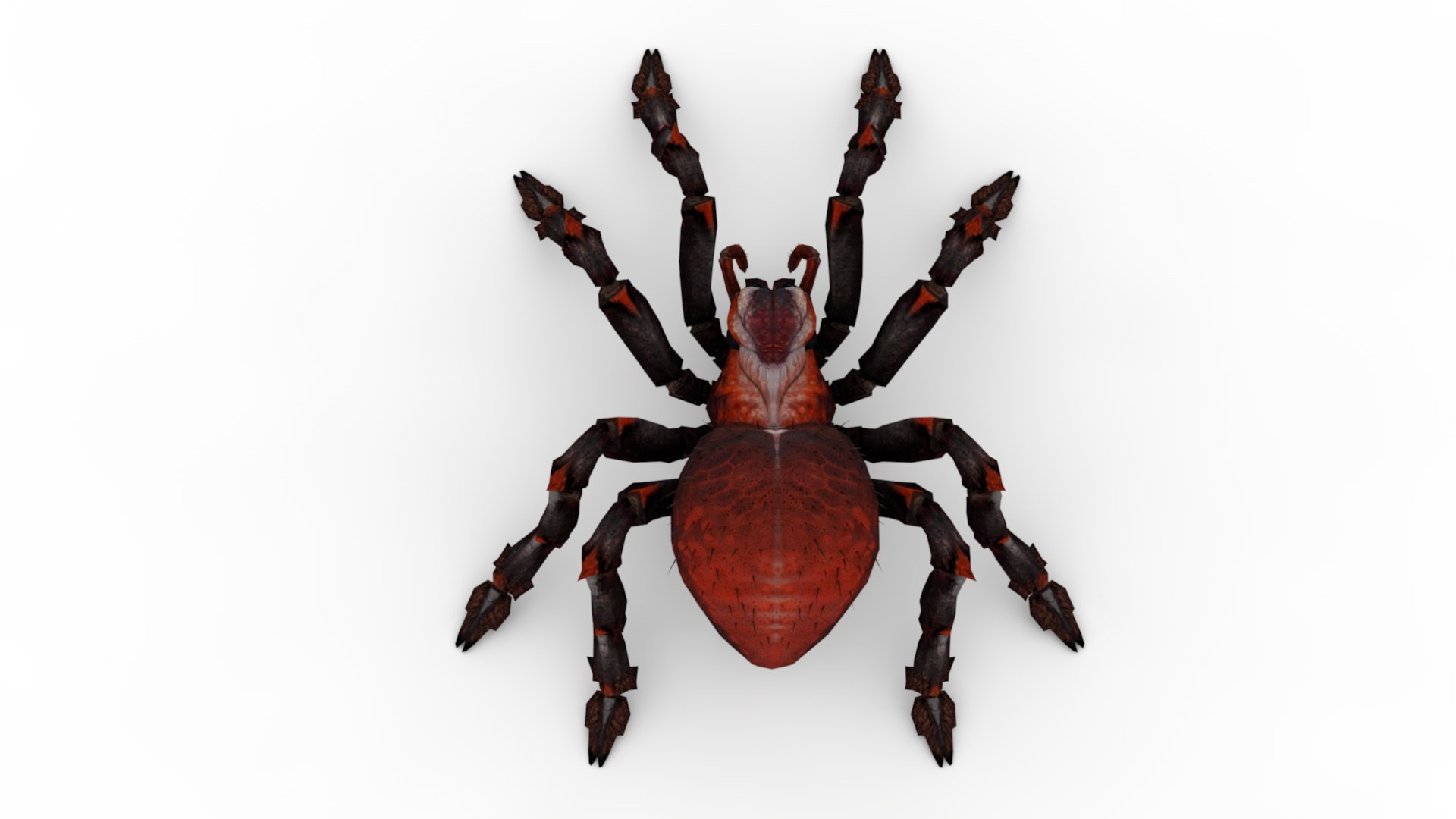 3D Spider Model - TurboSquid 2031429