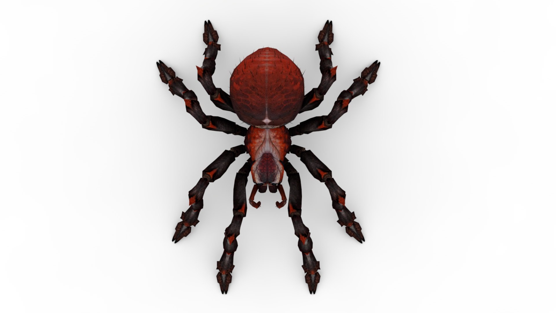 3D Spider Model - TurboSquid 2031429