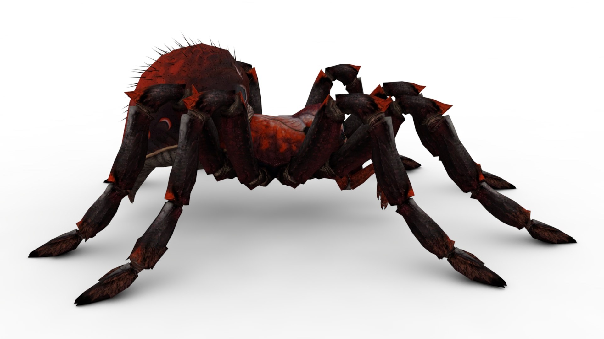 3D Spider Model - TurboSquid 2031429