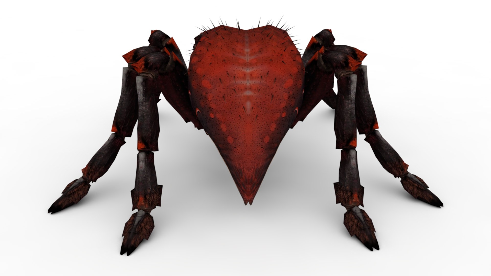 3D Spider Model - TurboSquid 2031429