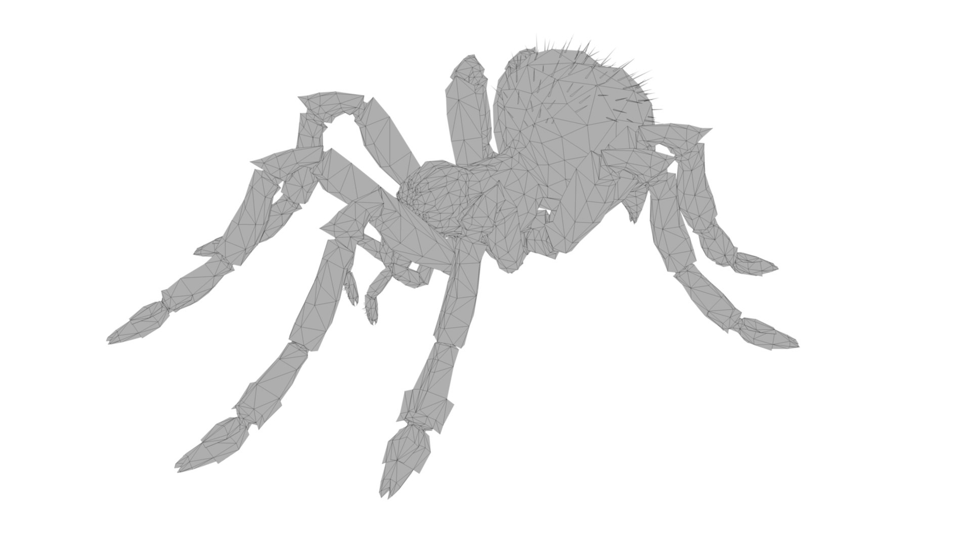 3D Spider Model - TurboSquid 2031429