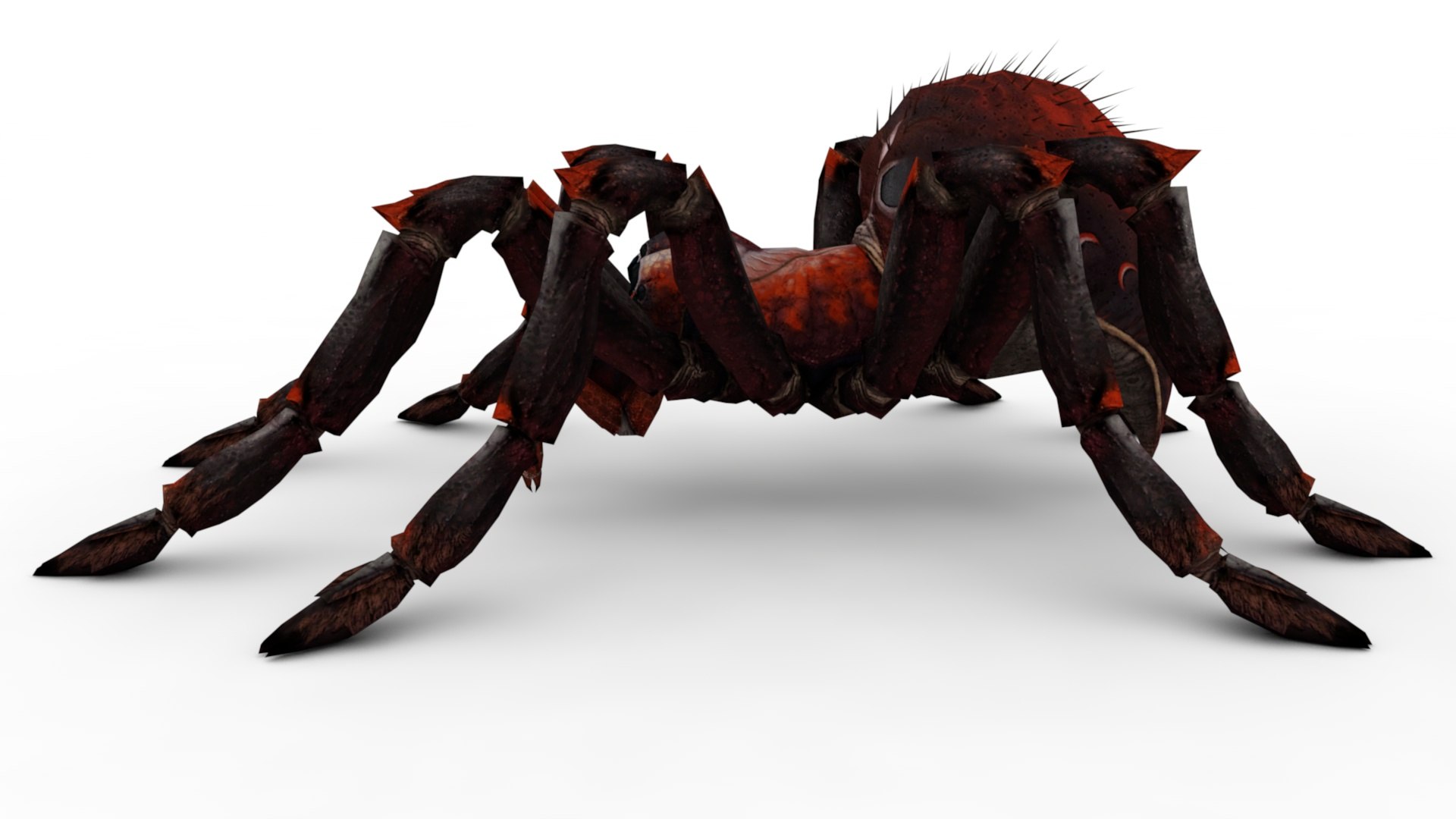 3D Spider Model - TurboSquid 2031429