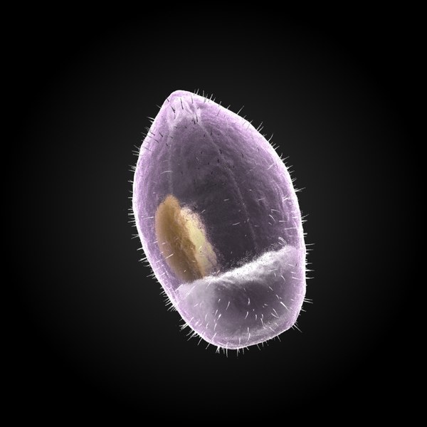 3ds max 75 microbes micro