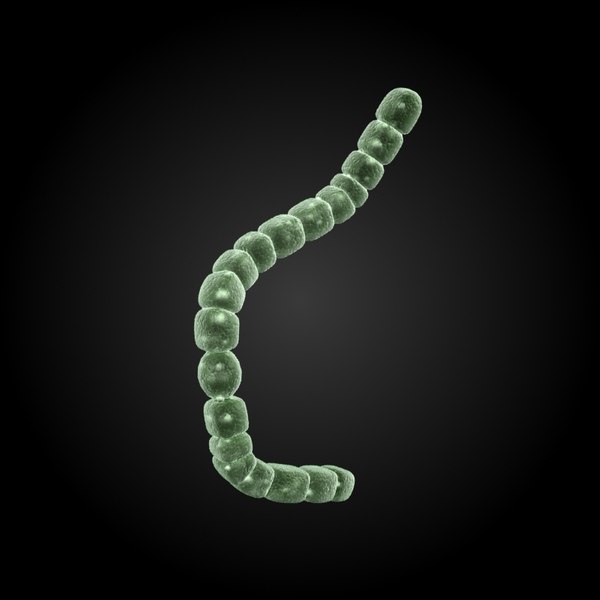 3ds max 75 microbes micro