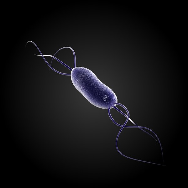 3ds max 75 microbes micro