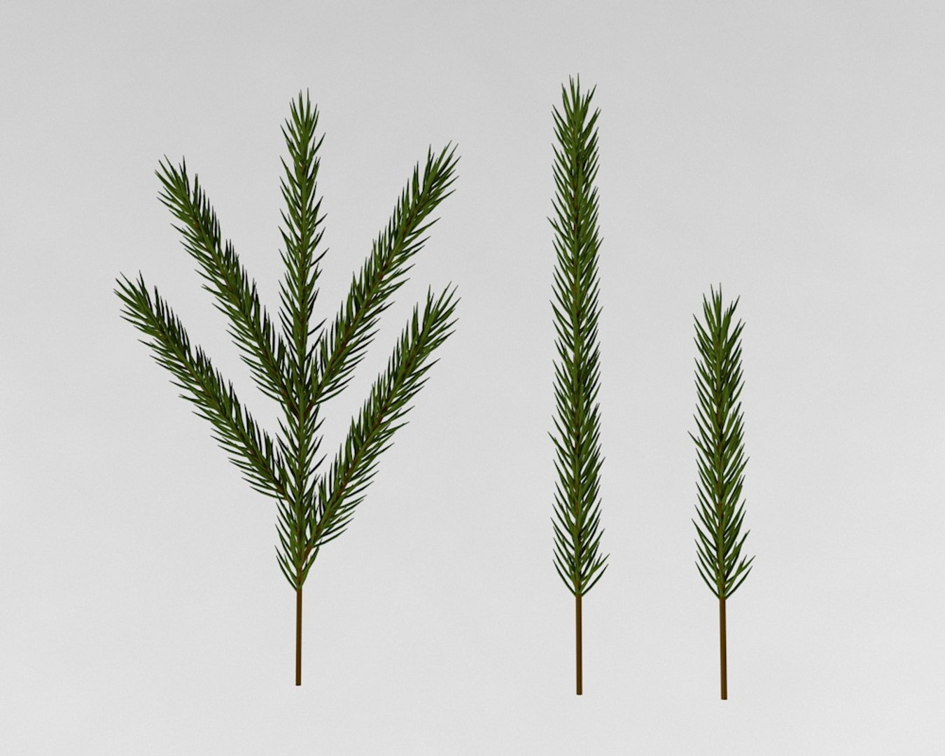 Branches 3D Model - TurboSquid 1344874