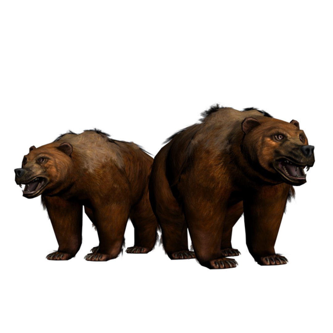 Maya Bear