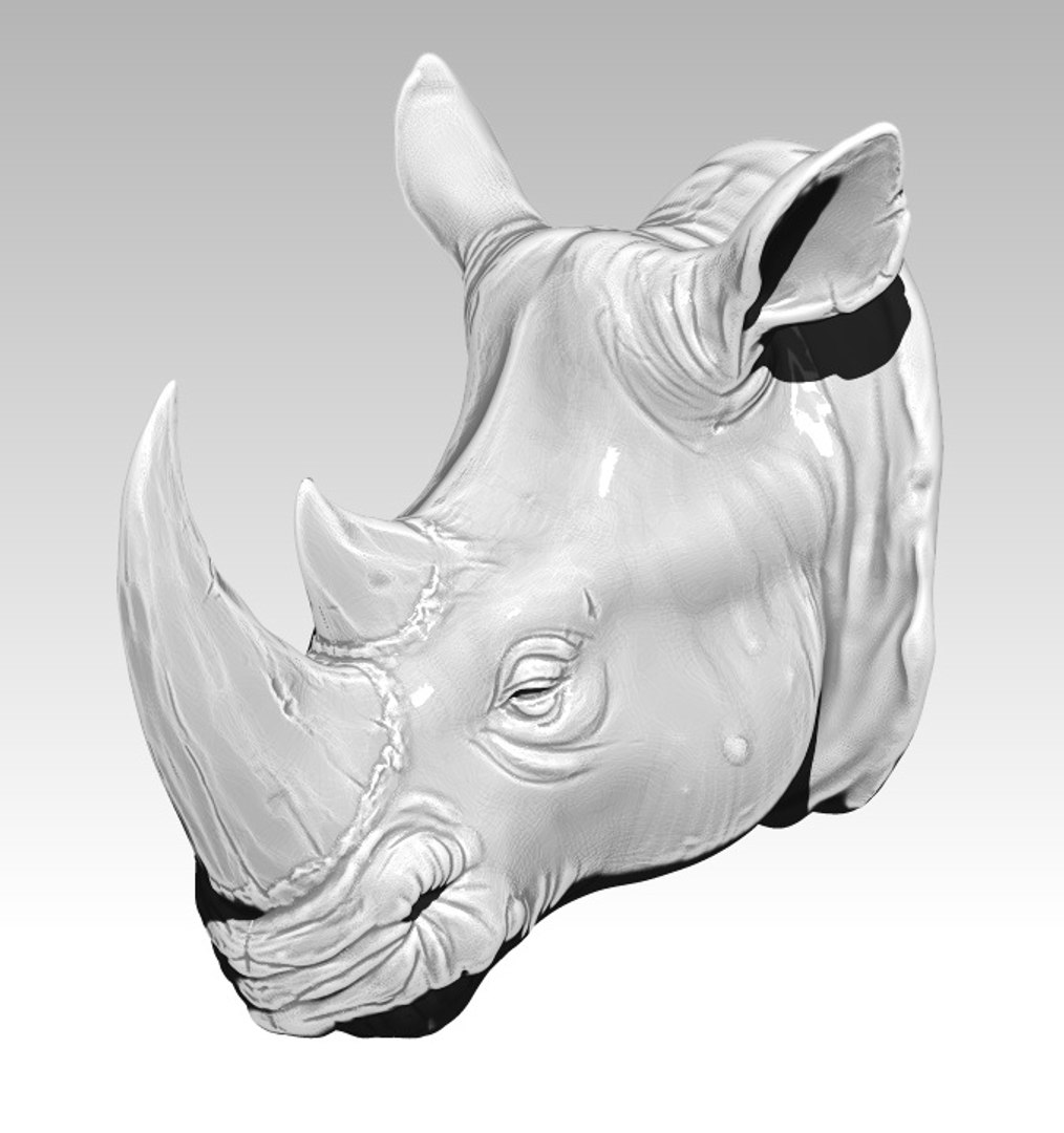 Rhino Head 3D Model - TurboSquid 1326490