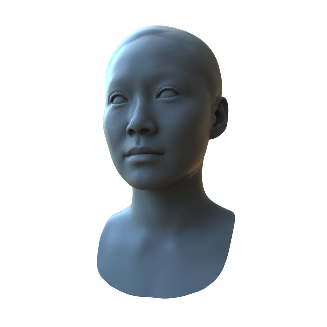 3d Based Face Races