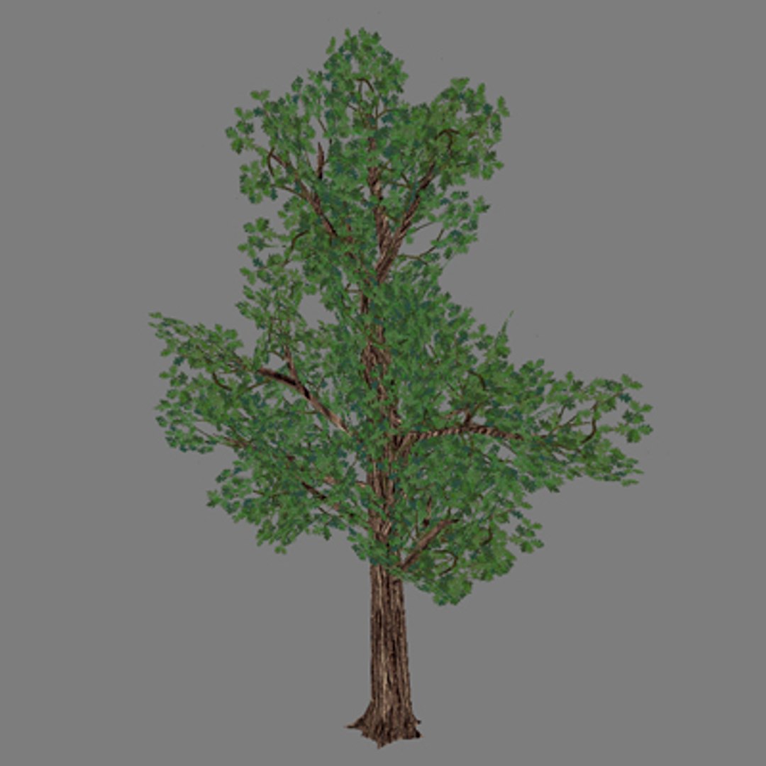 Tree - 1 3d Max