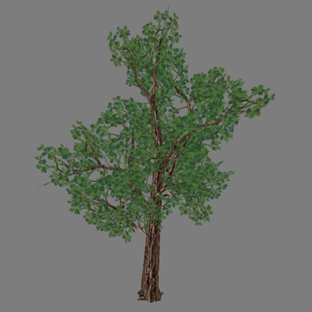 Tree - 1 3d Max
